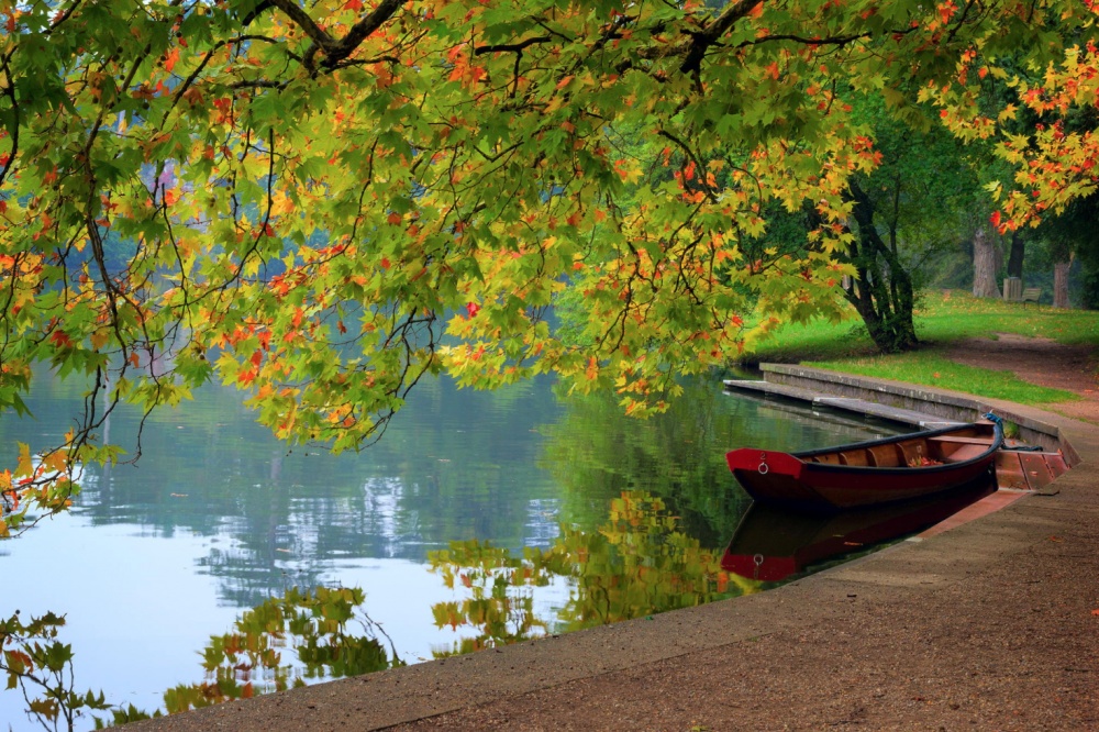 Mis aventuras en la UJI: 10 fotos de paisajes para disfrutar del Otoño